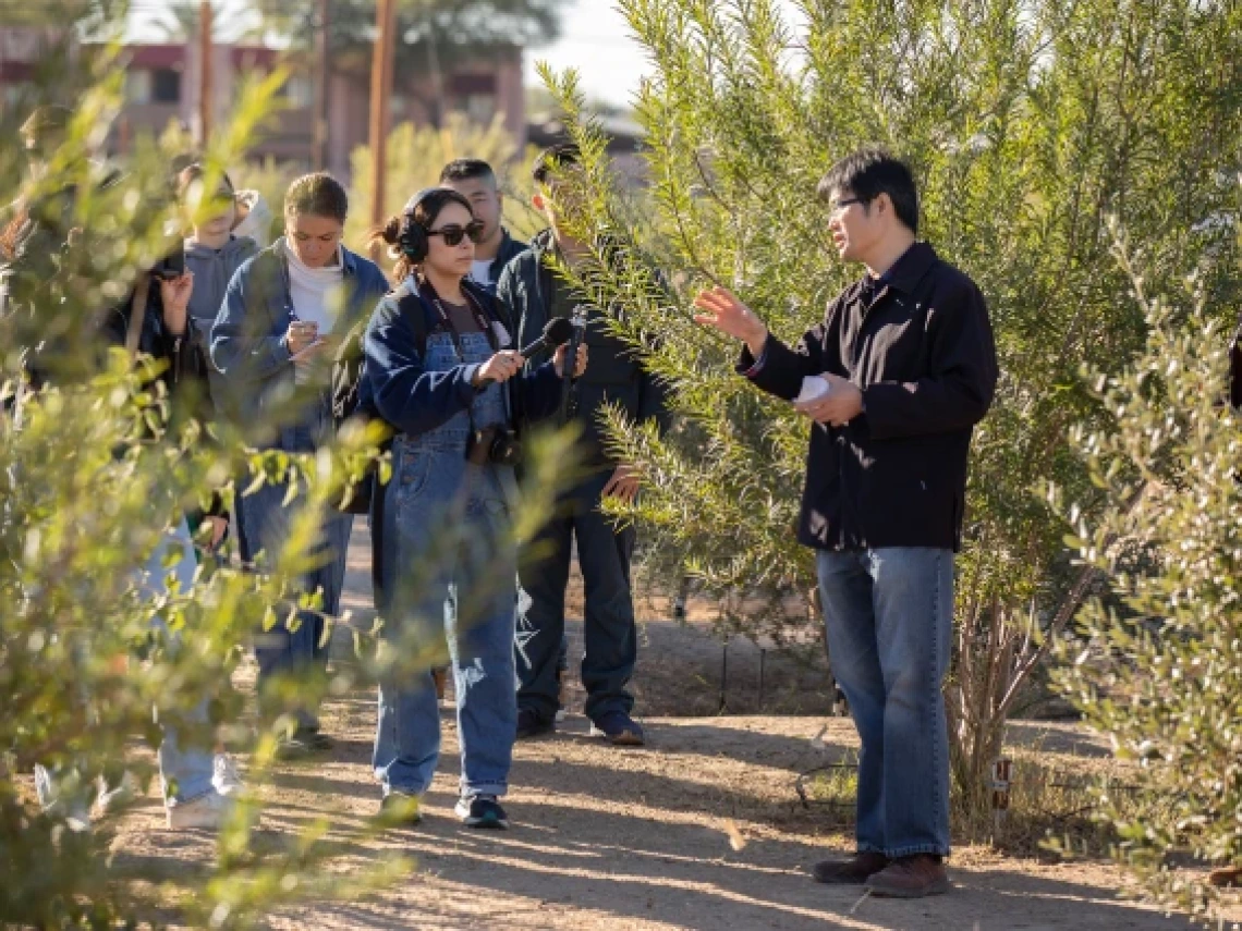 Improving water conservation and mitigating Arizona's heat island ...